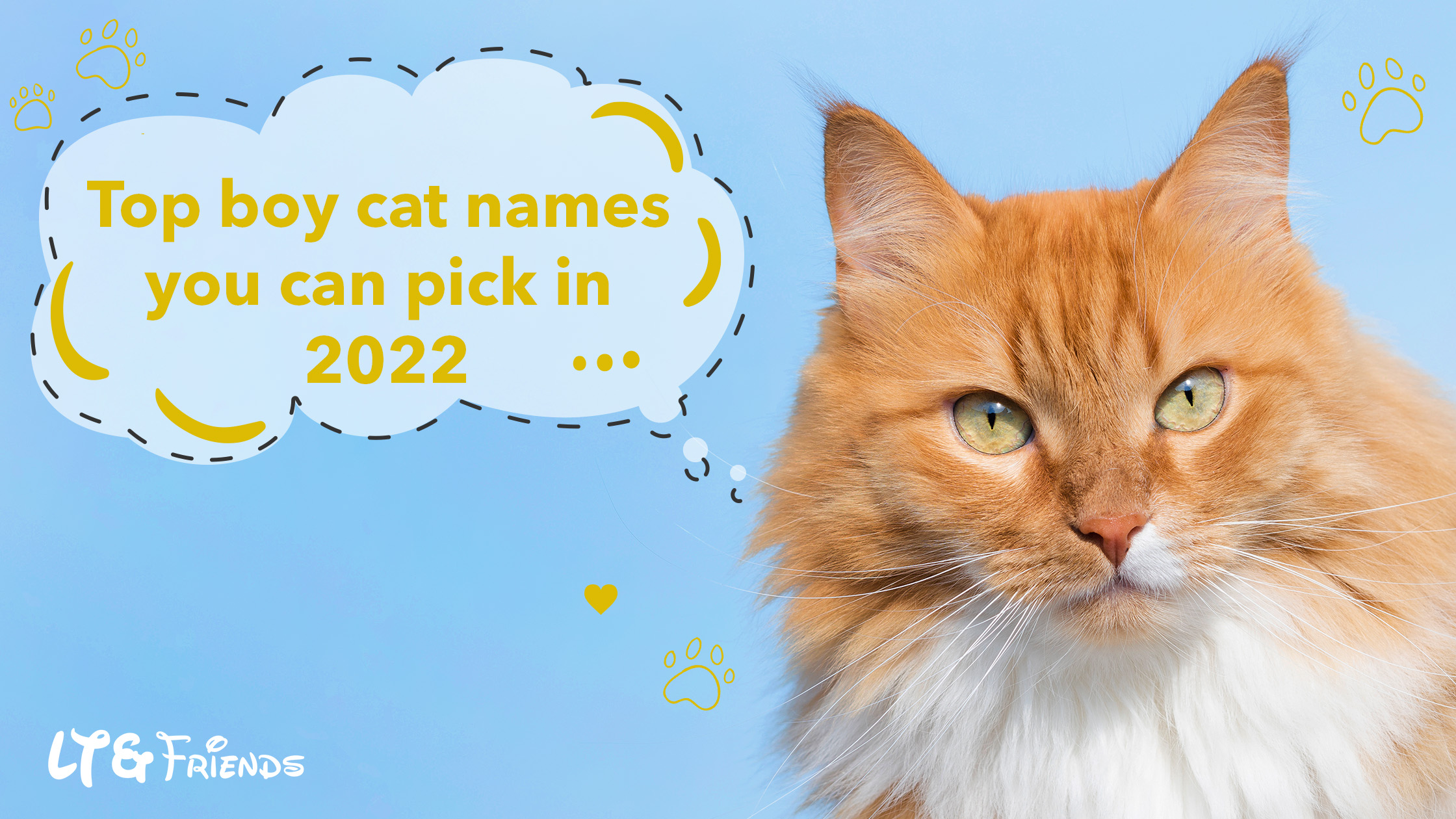 The Best Cat Names Ever